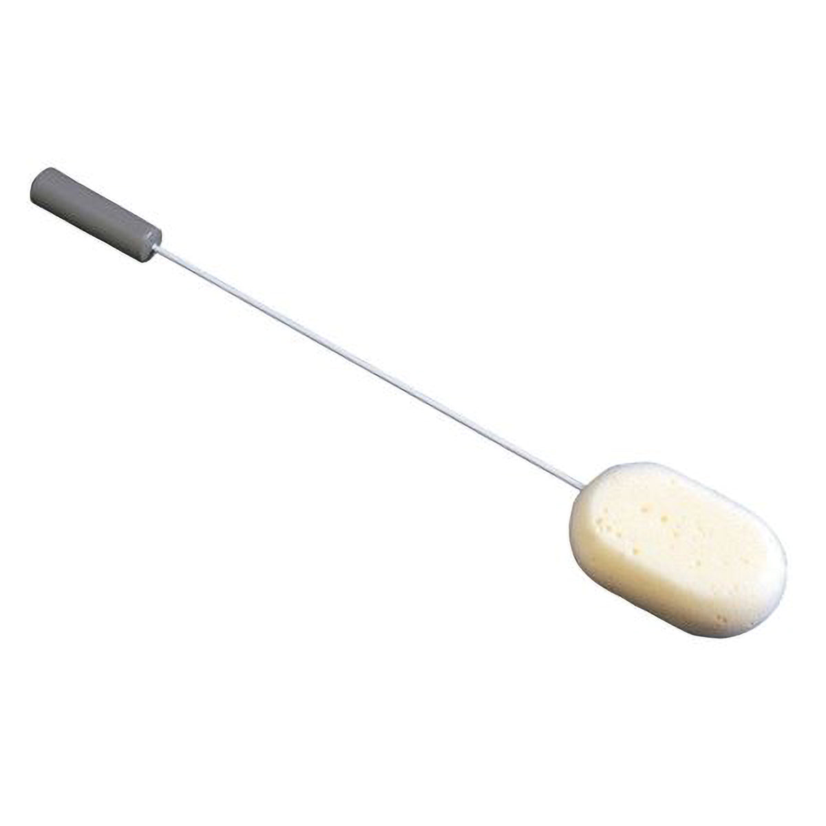 Long Handled Sponge — Open Mobility